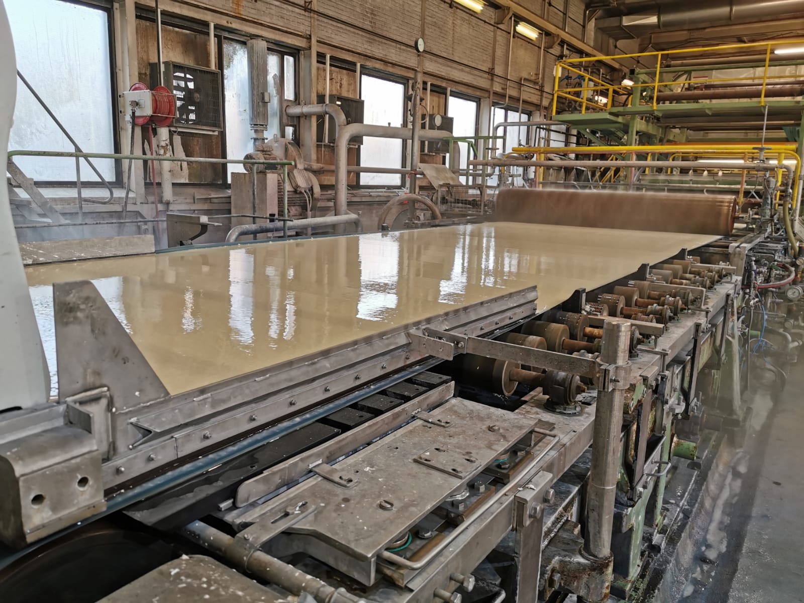 GO-GRASS - Grass based circular business models - ESCI