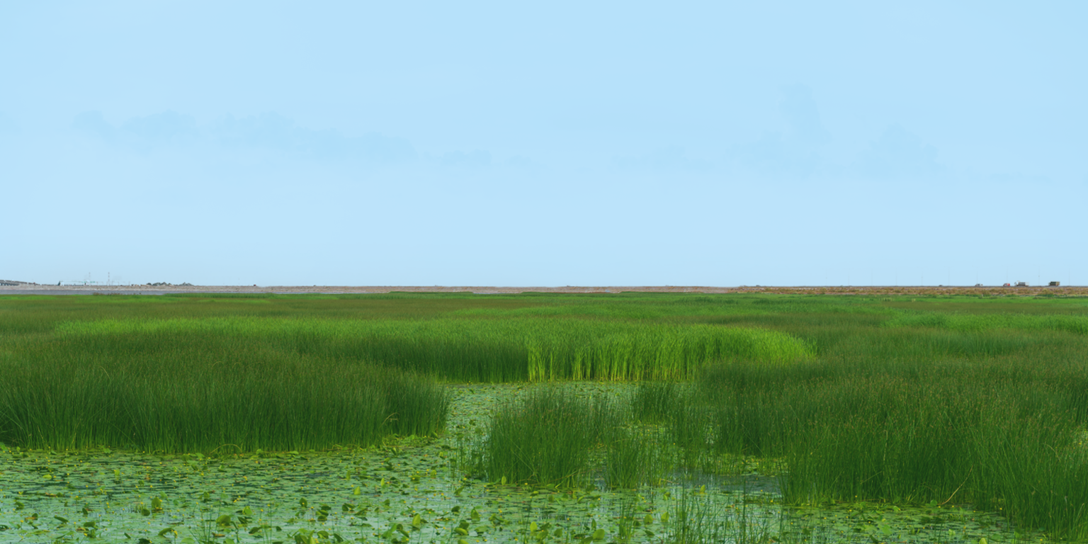 WET HORIZONS - Upgrading knowledge and solutions to fast-track wetland ...
